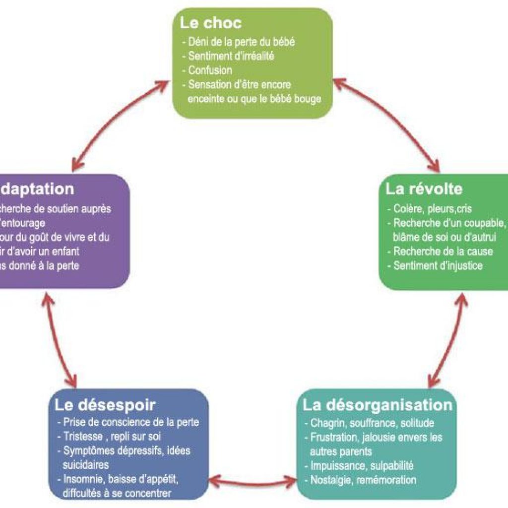 Les Phases Du Processus De Deuil – CASIA